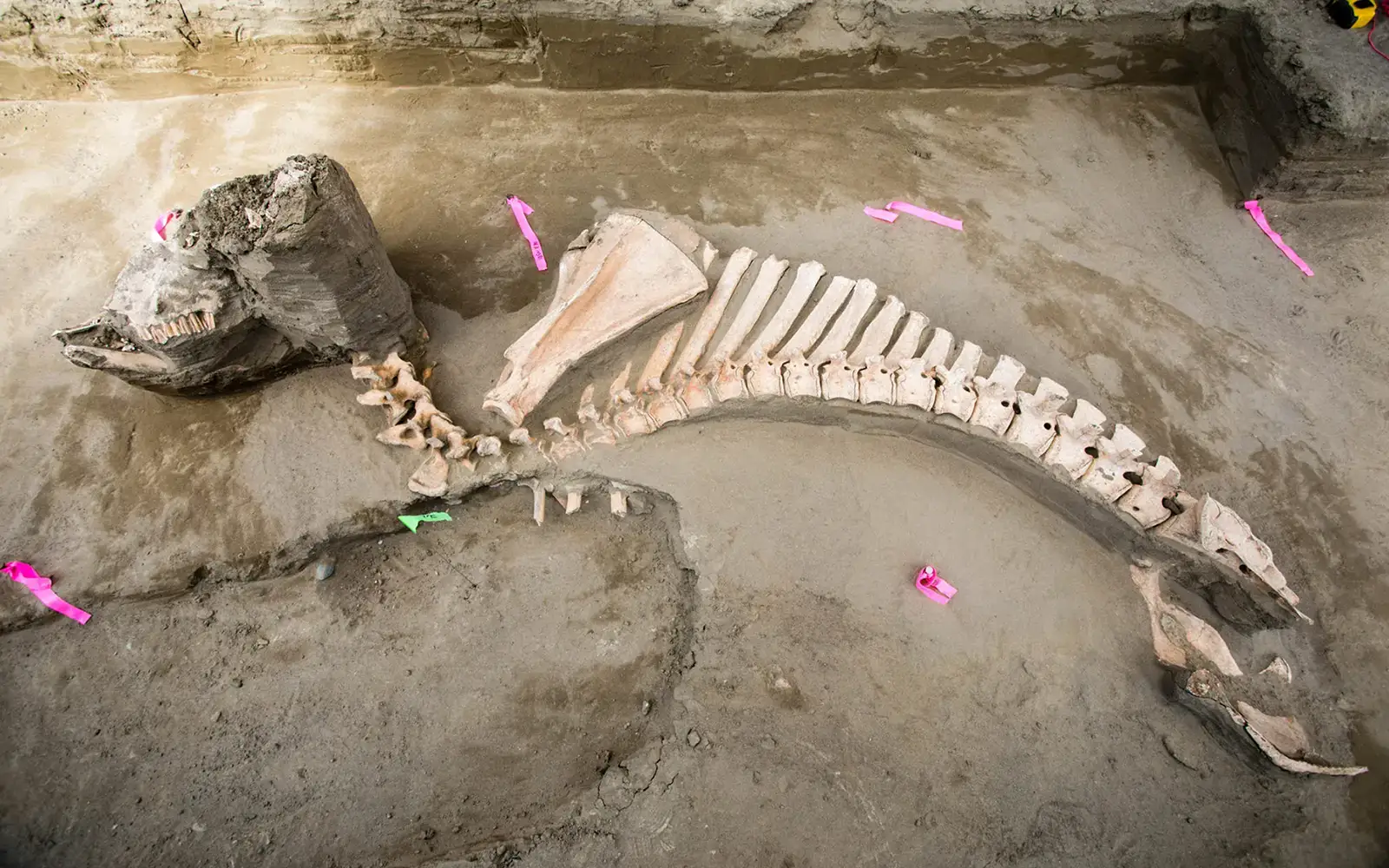 Bringing the Past to Life: Advanced 3D Scanning and Printing in ...